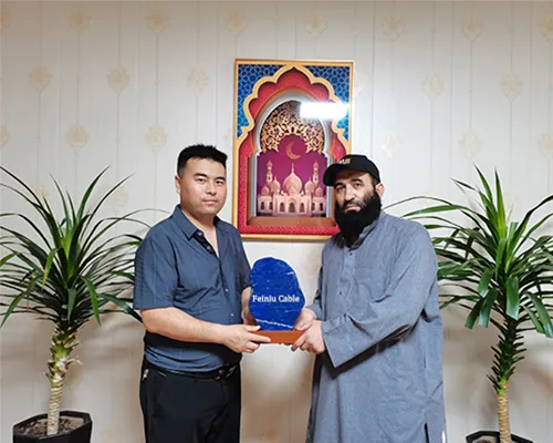 Afghanistan customer visit us