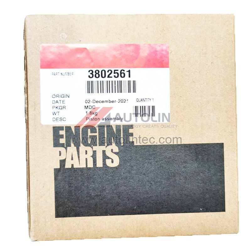 piston kit, Cummins 4B3.9/6b5.9 , 3802561