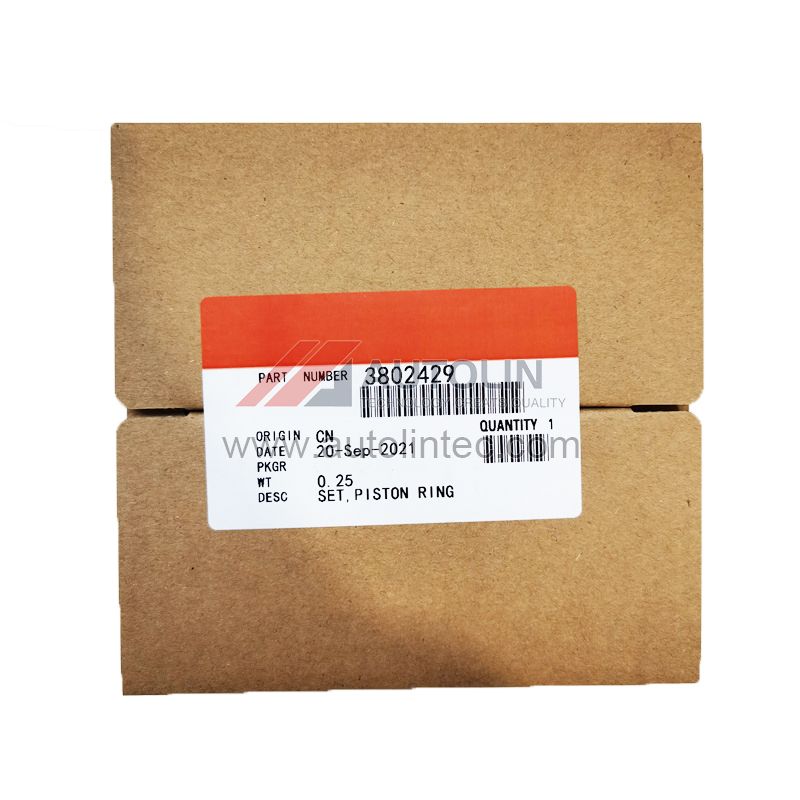 Piston ring set, Cummins 6CT8.3, 3802429