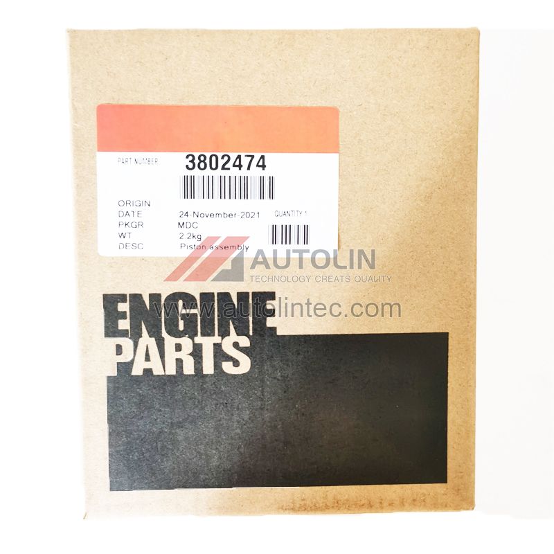 Engine piston kit, Cummins 6CT8.3 , 3802474