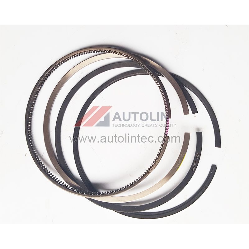 Piston with rings, Cummins NT855, 3017348