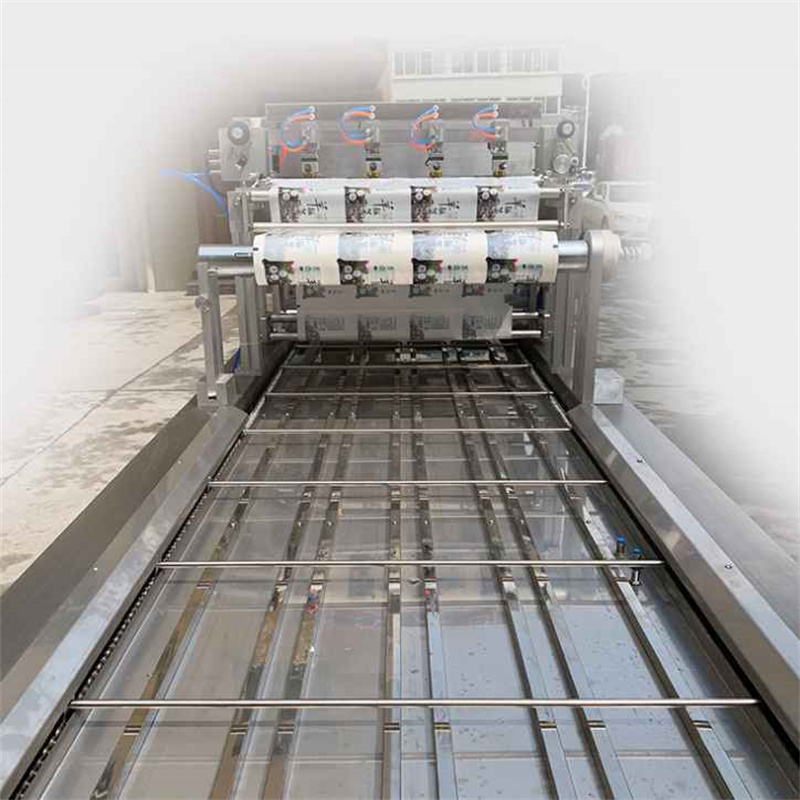 AZONE MACHINERY--Factory for Automatic 4 cavity continuous MAP vacuum ...