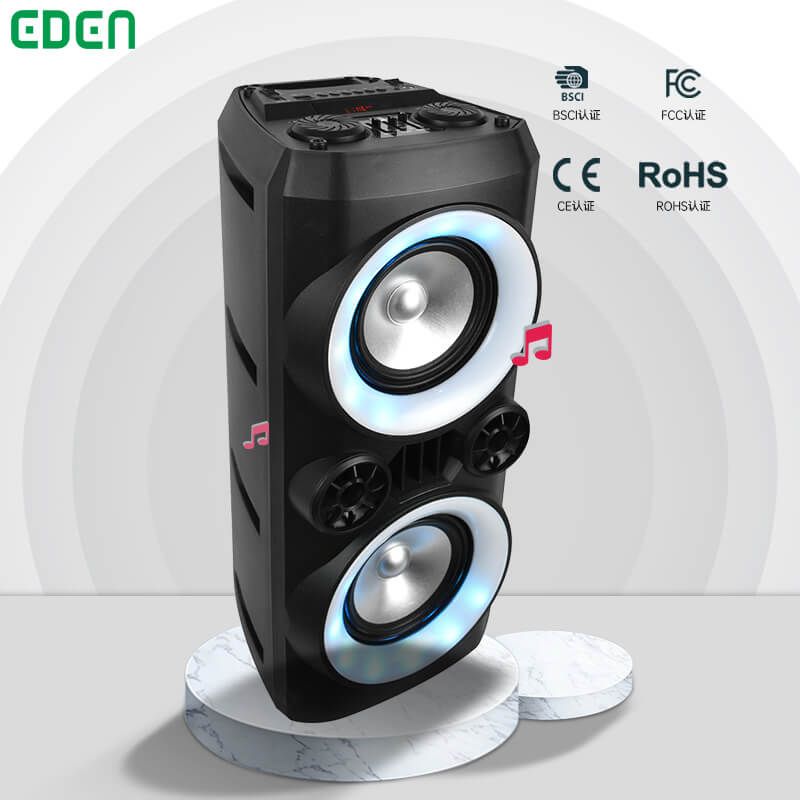 Dual 6.5 inch pro audio speaker boom box with RGB Light