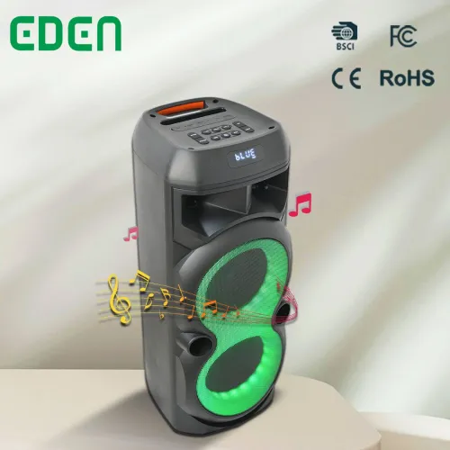EDEN new product Dual 6.5 inch waterproof bluetooth speakers