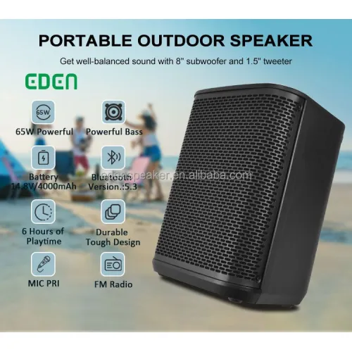 Portable Wireless PA Systems Battery Powered Bluetooth Speaker