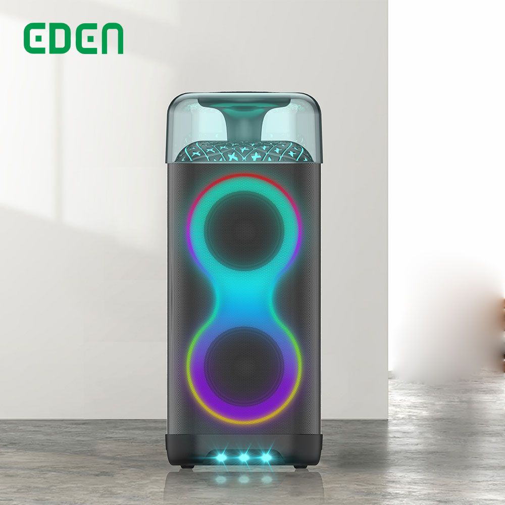 EDEN new product dual 6.5 inch Party Bluetooth Speaker