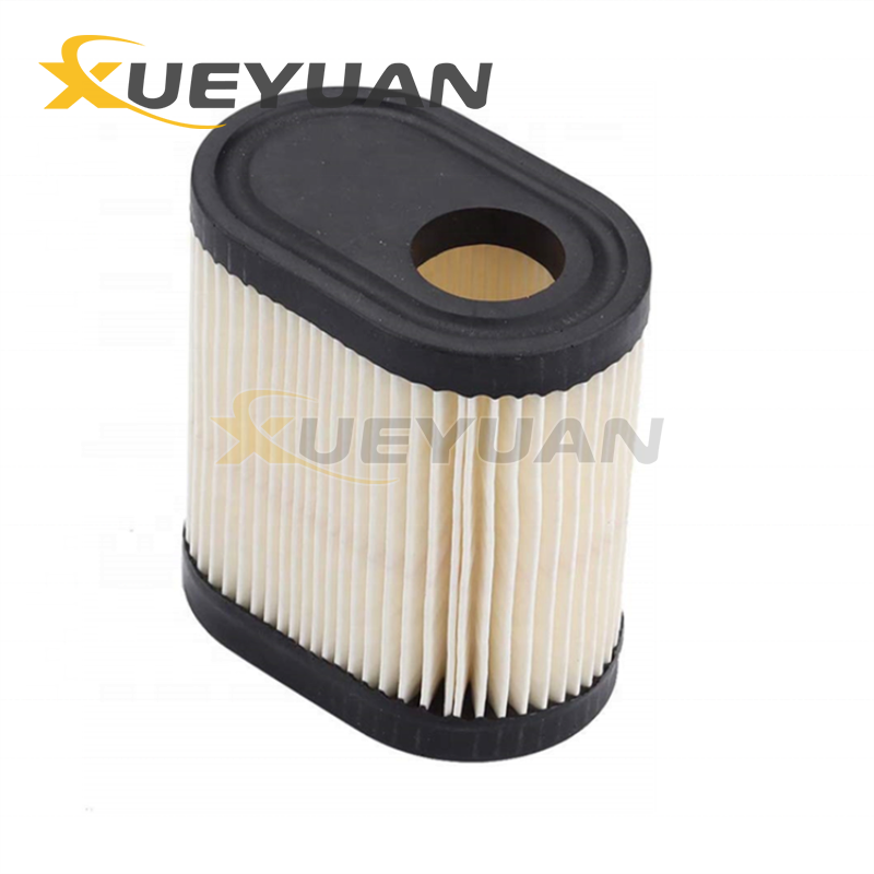 AIR FILTERS 36905 740083A for Tecumseh Raisman