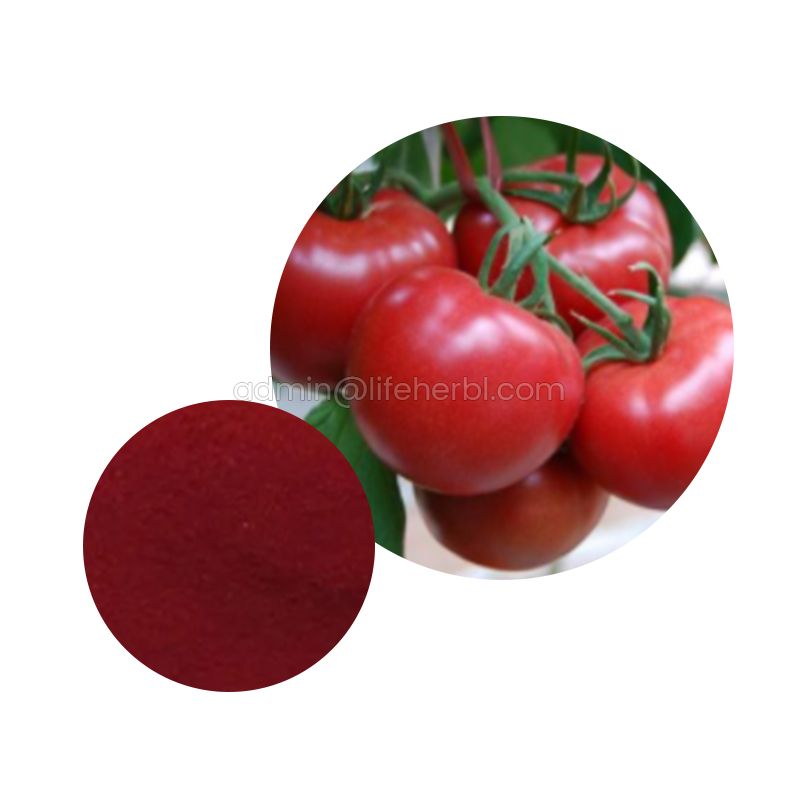ISO,Halal,Kosher,FDA certified Tomato extract lycopene 5% 6% 10% 20%