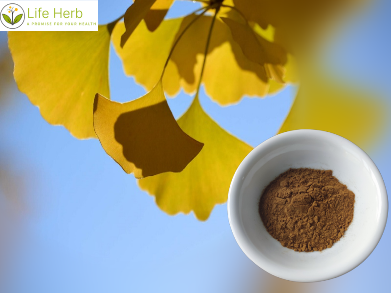 Factory Ginkgo Biloba Extract 24/6//5 USP,EP,CP High Quality
