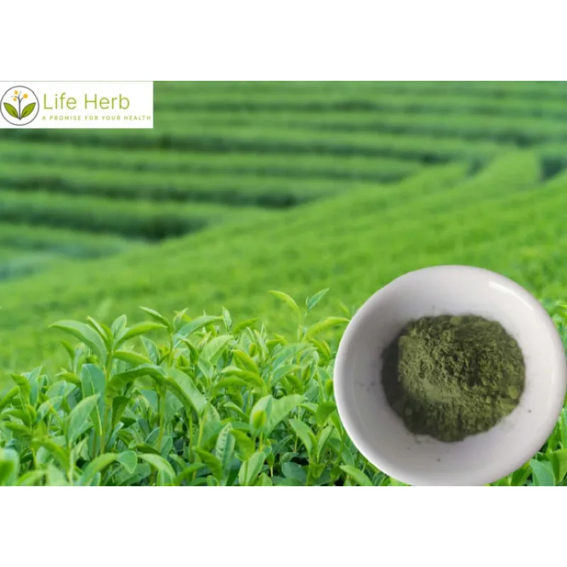 Factory price matcha powder