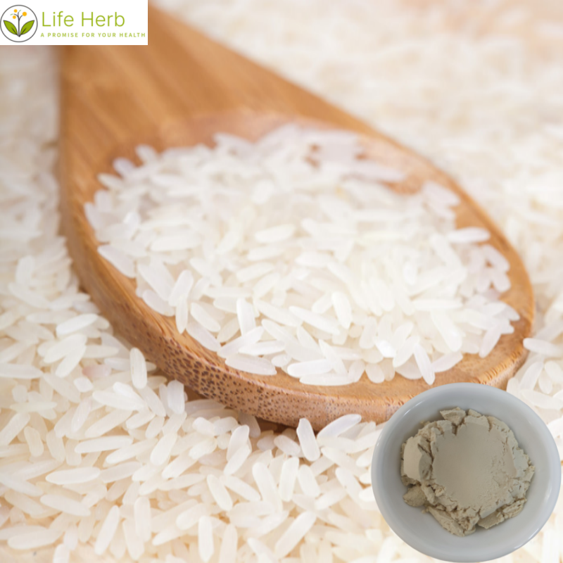Factory Organic rice protein 80% rice protein isolate