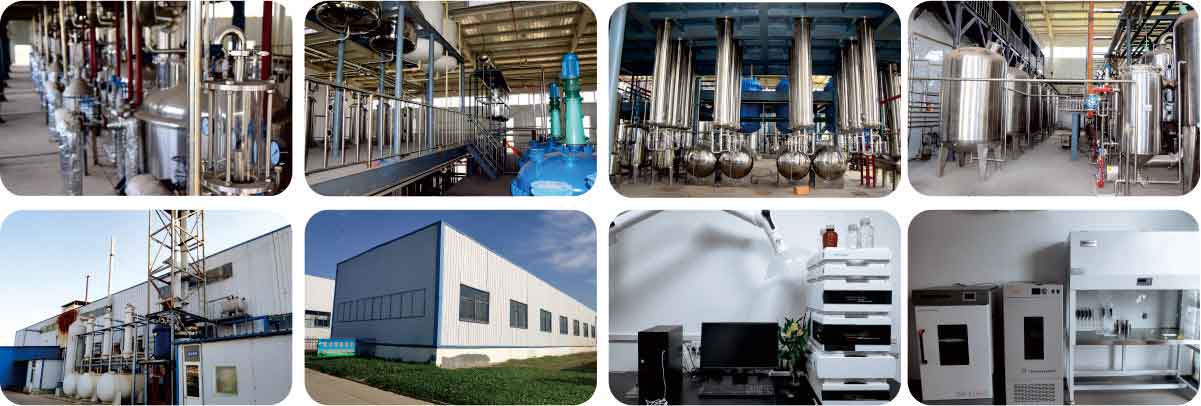 Yohimbe Extract Powder