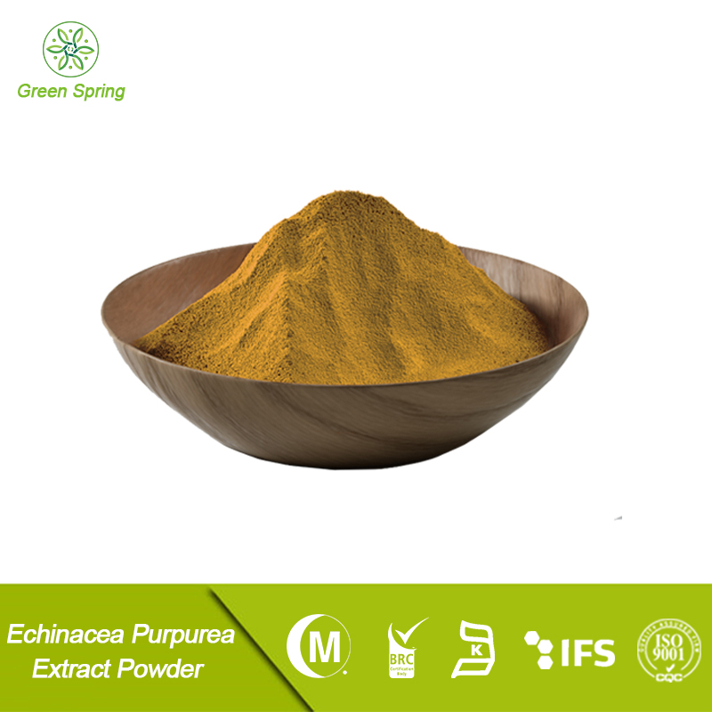 Echinacea Purpurea Extract Powder - Echinacea Extract Powder
