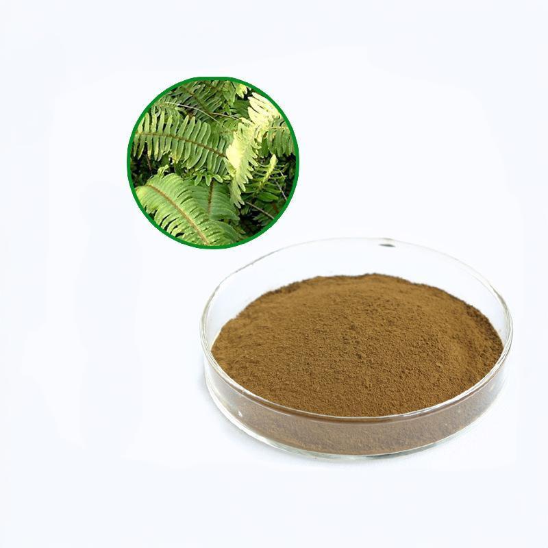 Rhizoma Drynarinae Extract Powder Manufacturer