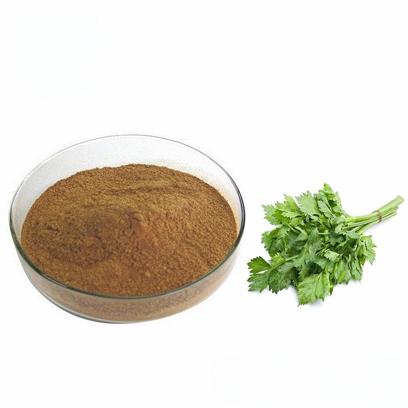 Celery Extract Powder Manufacturer