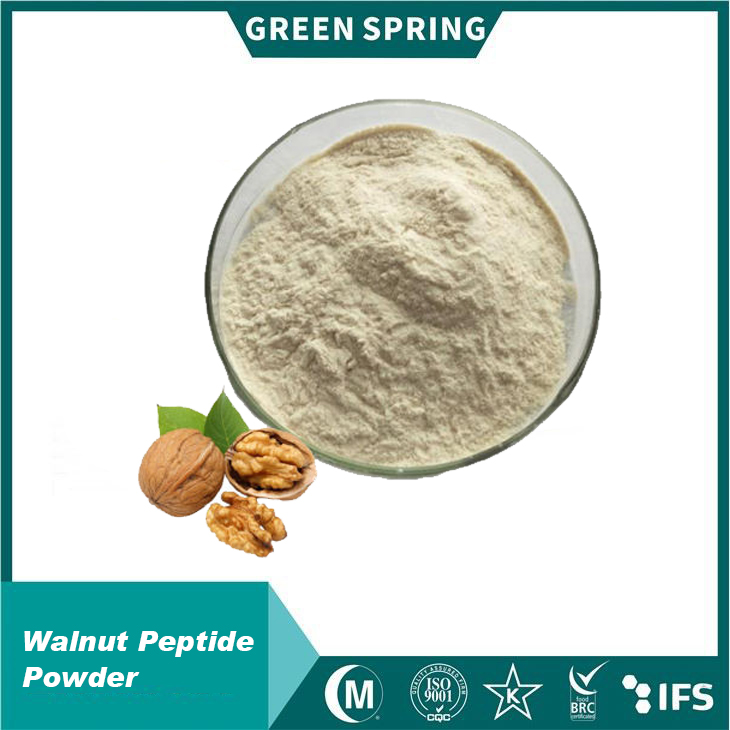 Walnut Protein Powder Manufacturer