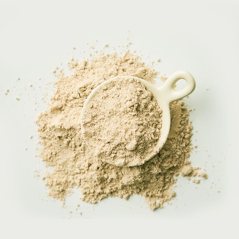 Sunflower Seed Protein Powder Manufacturer