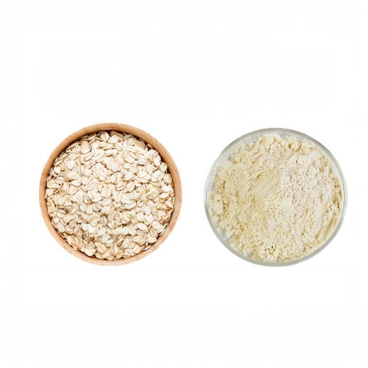 Oat Protein Powder Supplier - Plant Extract Manufacturer
