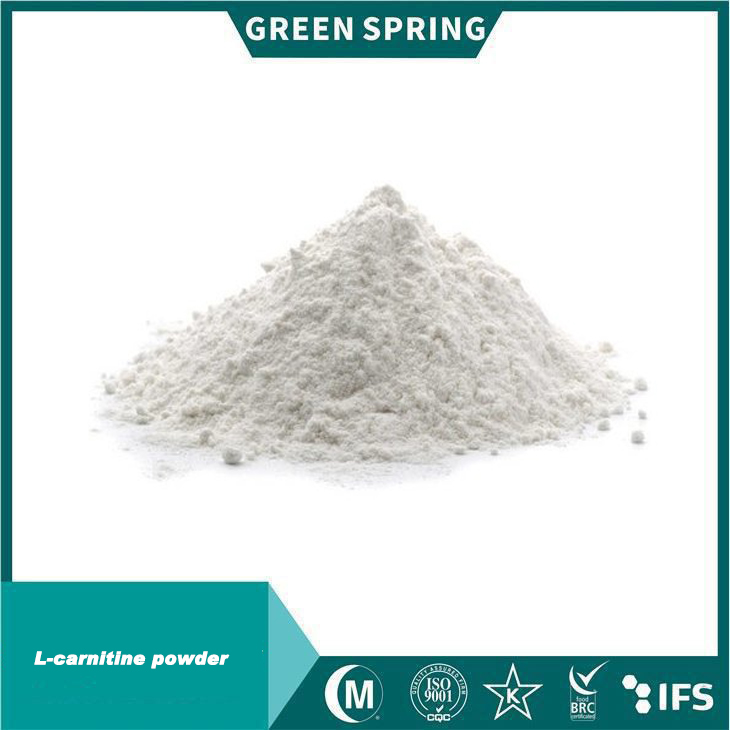 Acetyl L-Carnitine Powder Manufacturer