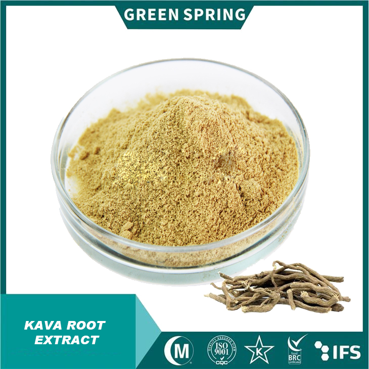 Powdered Kava Extract Manufacturer