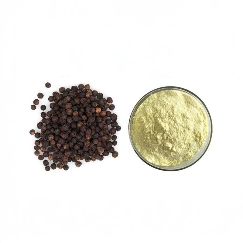Black Pepper Extract Manufacturer