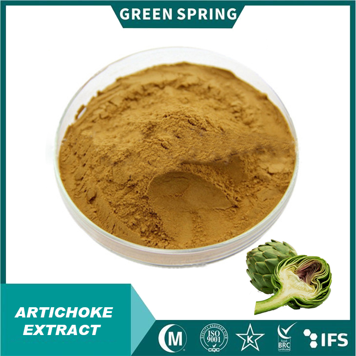 Artichoke Extract Cynarin Manufacturer