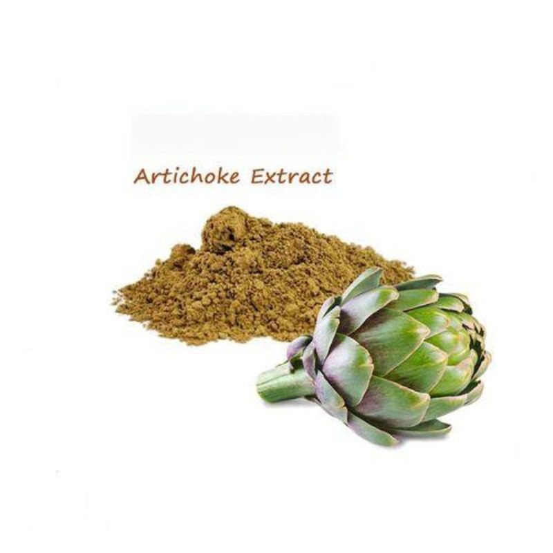 Artichoke Extract Powder Manufacturer