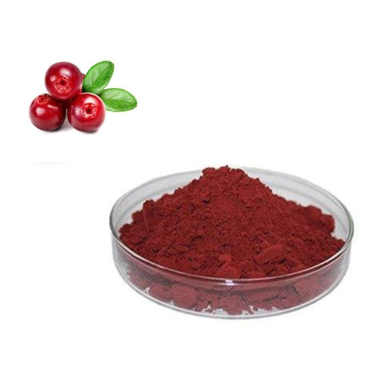 Cranberry Powder Manufacturer