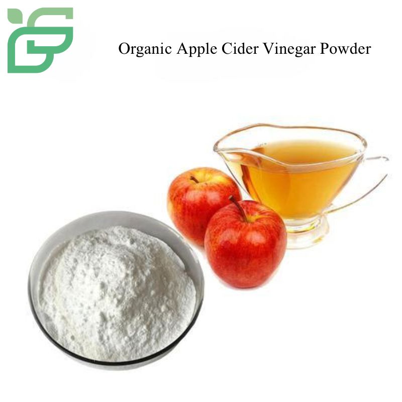 Apple Cider Vinegar Powder Manufacturer