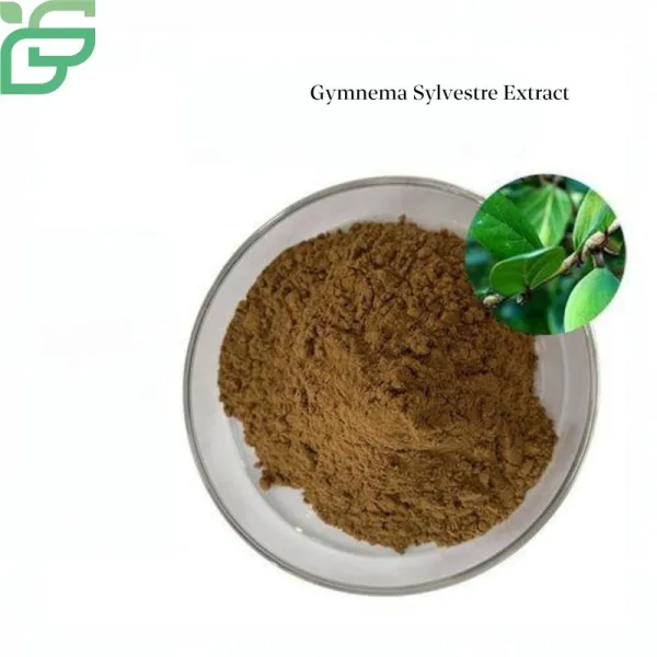 Gymnema Sylvestre Extract Manufacturer