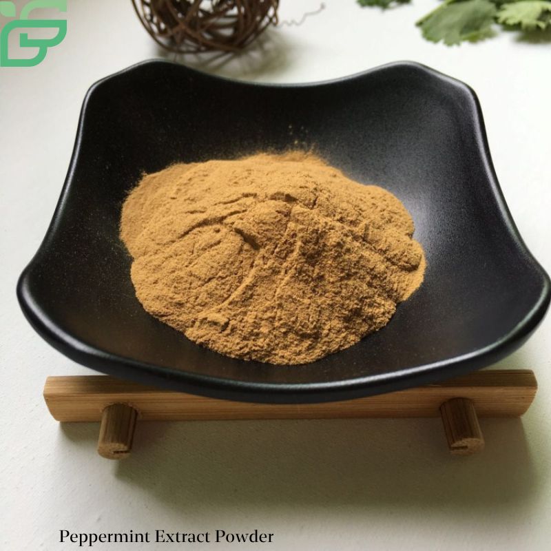 Peppermint Extract Powder Manufacturer