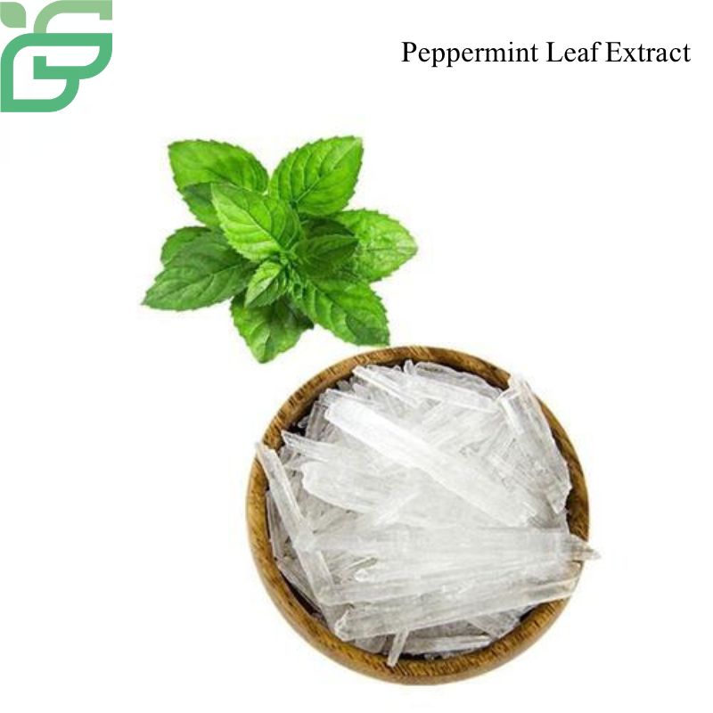 Peppermint Leaf Extract Manufacturer