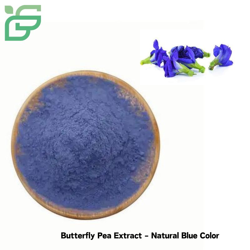 Butterfly Pea Extract - Natural Blue Color Manufacturer