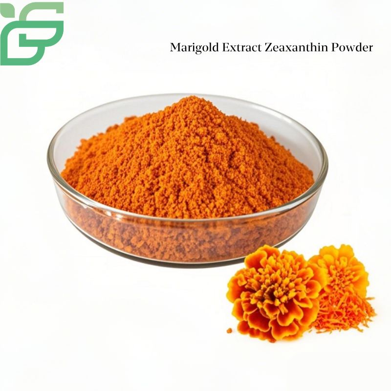 Marigold Extract Zeaxanthin Powder Manufacturer