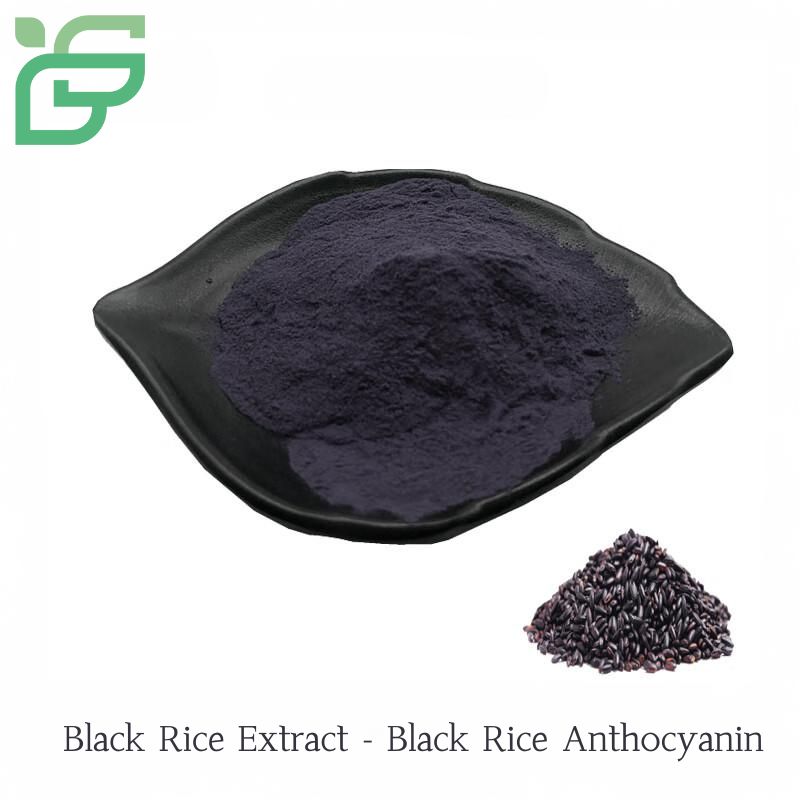 Black Rice Extract Anthocyanins Manufacturer