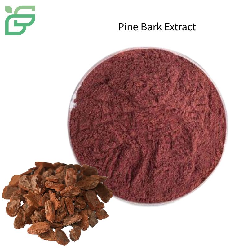 Pine Bark Extract Manufacturer