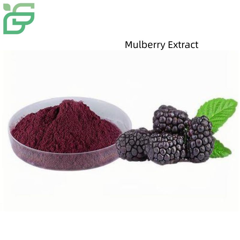 Mulberry Extract Powder Manufacturer