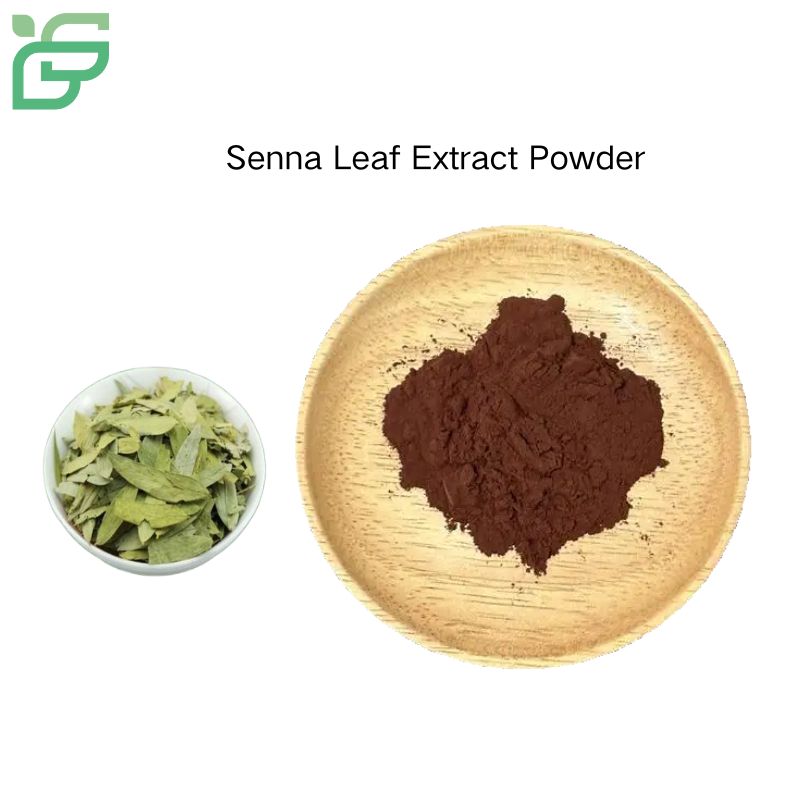 Senna Leaf Extract Powder Manufacturer