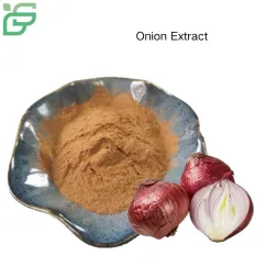 Onion Extract Powder Manufacturer