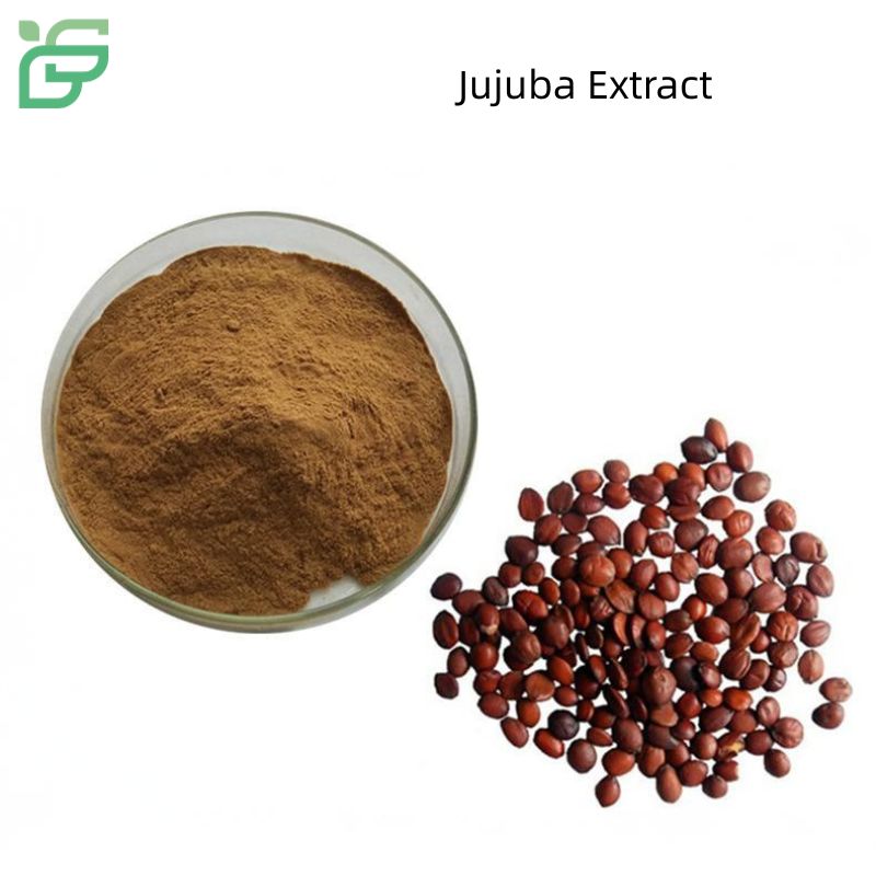 Jujube Seed Extract Manufacturer