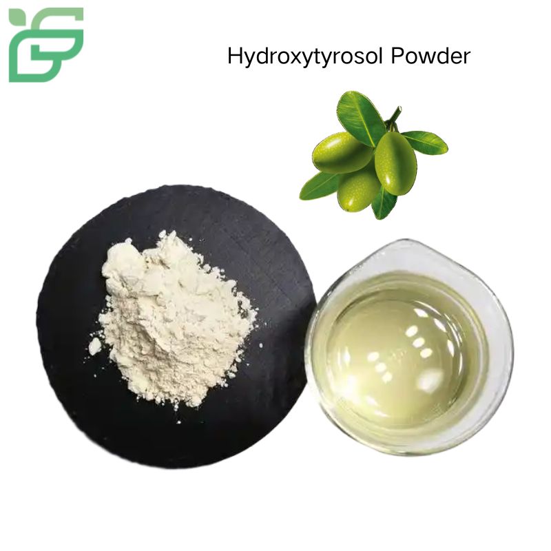 Hydroxytyrosol Powder Manufacturer