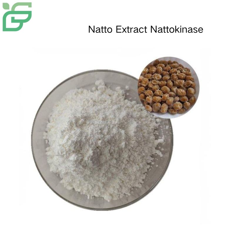 Natto Extract Nattokinase Manufacturer