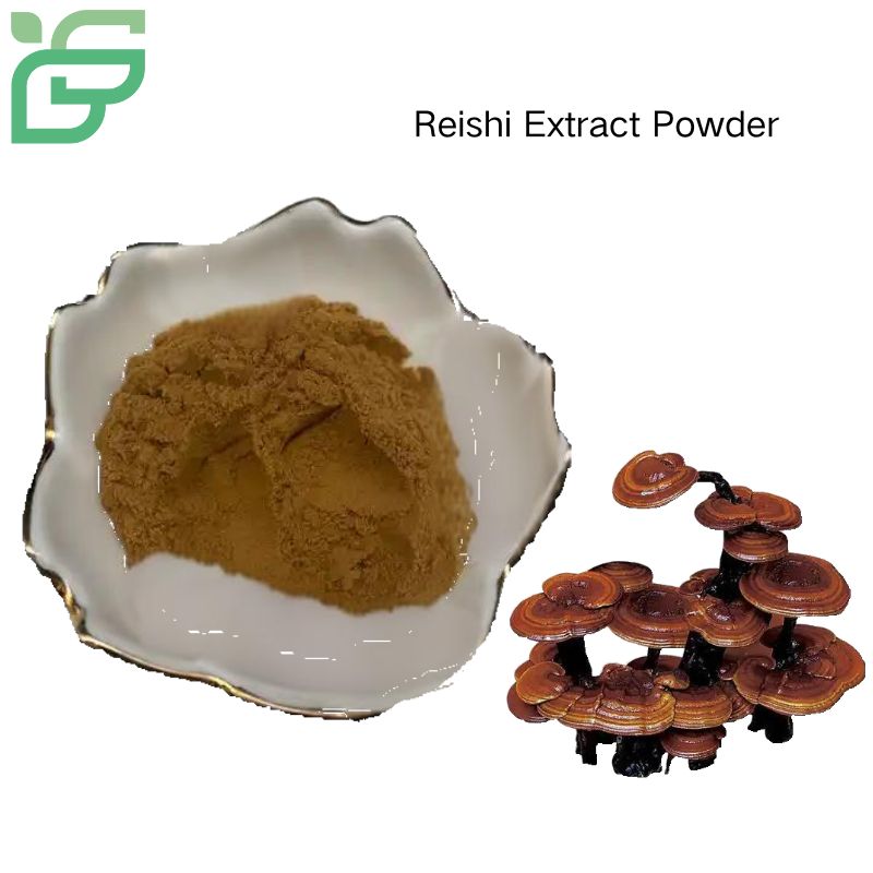 Reishi Extract Powder Manufacturer