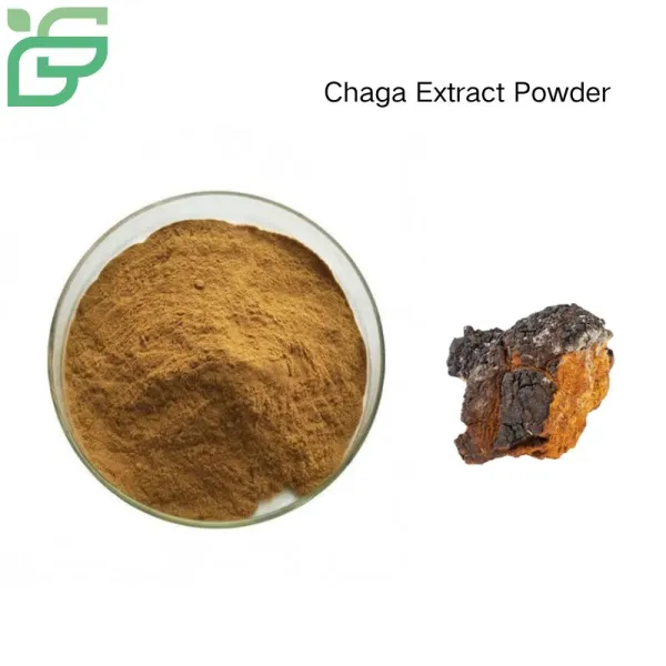 Chaga Extract Powder Manufacturer