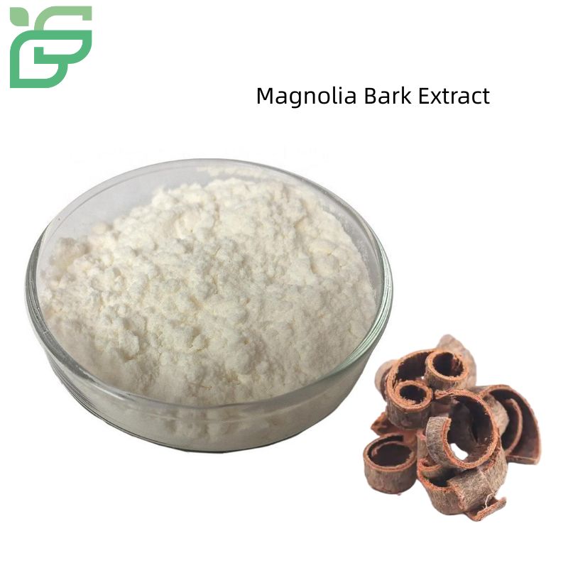Magnolia Bark Extract Manufacturer