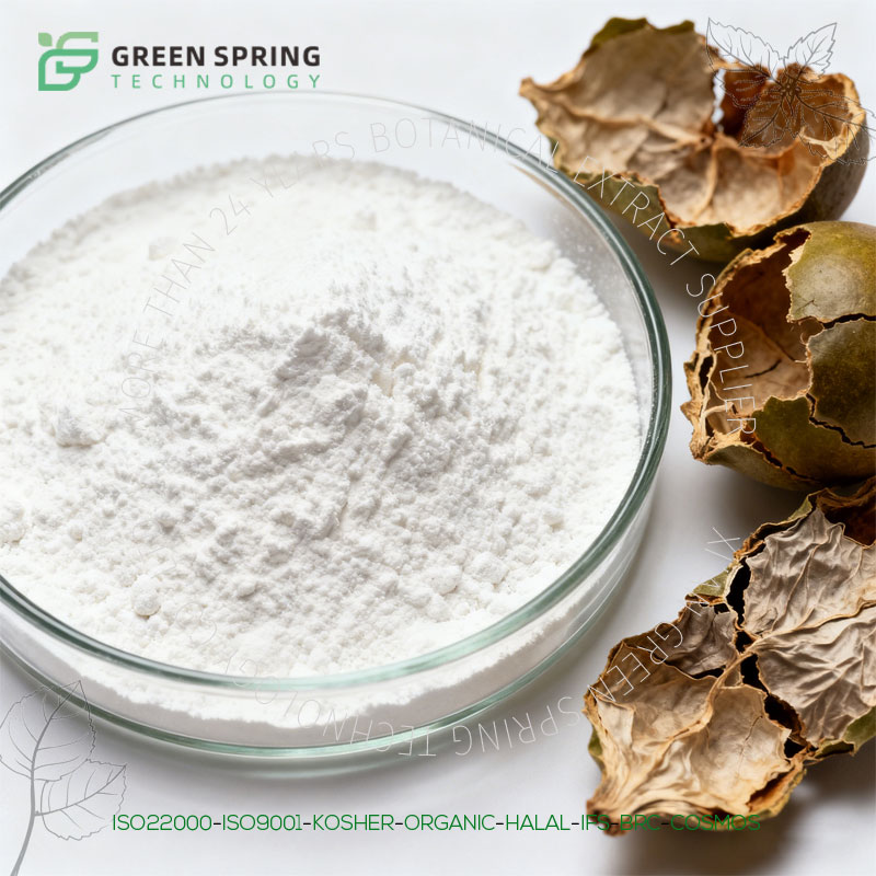 Monk Fruit Sweetener Powder - Mogroside Extract