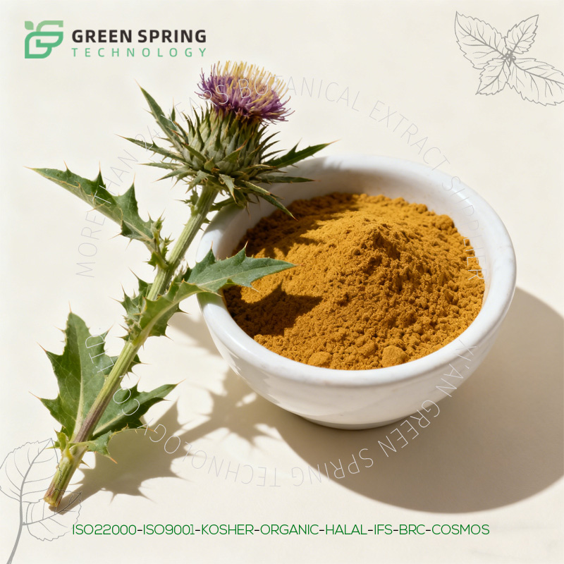 Milk Thistle Extract Powder,Silibinin Powder,Silymarin80%