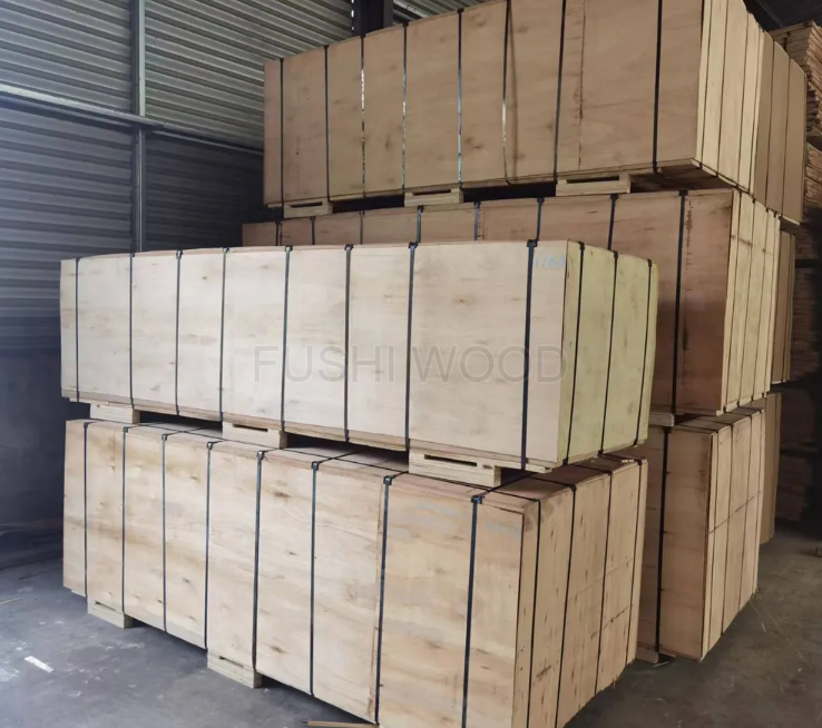 f22 forma de madera contrachapada