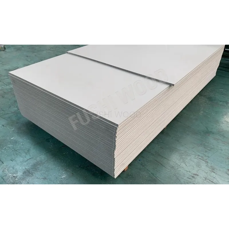 PP Hollow Plastic Formwork