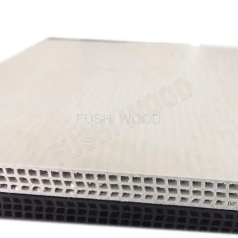 PP Hollow Plastic Formwork